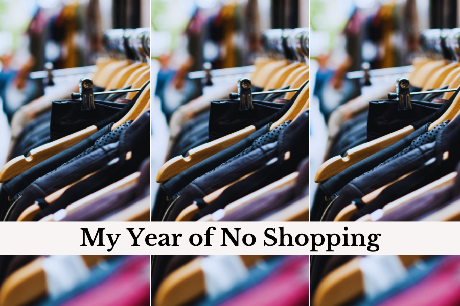 My Year of No Shopping | How It Worked Out • Start with the Bed